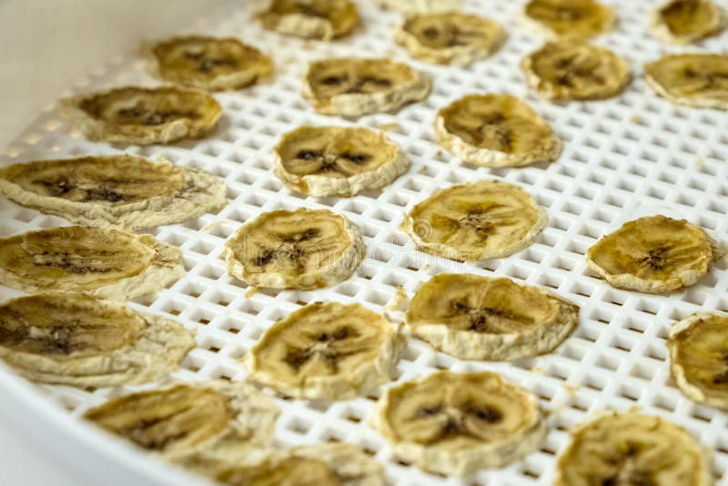 Baking and Drying of Bananas in a Drying Plant, Dried Fruit Stock Image ...