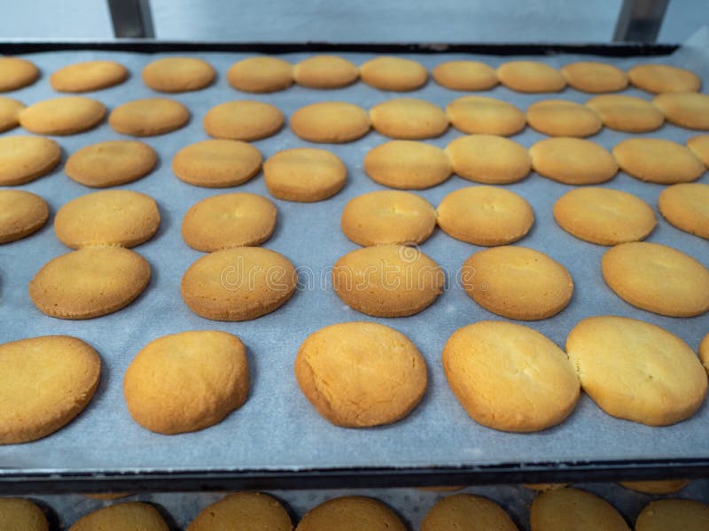 Baking a Large Group of Cookies in a Professional Oven in a Cake Lab ...