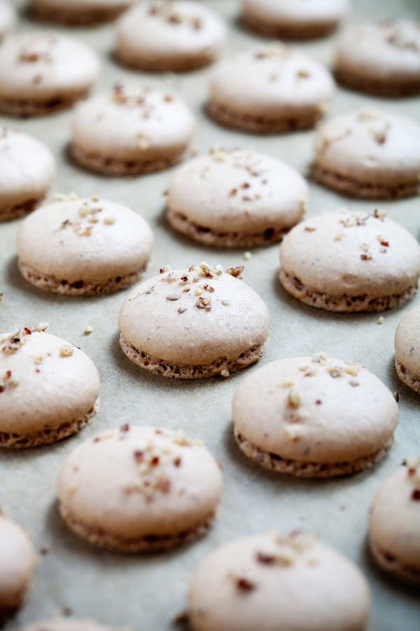 Baking macaroons stock photo. Image of luxury, cream - 62166270