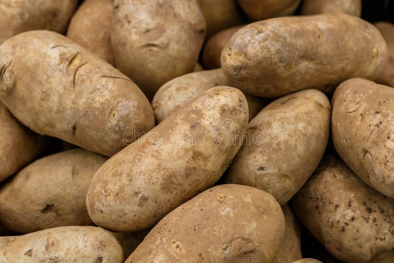 Baking Potatoes stock photo. Image of fresh, organic - 94475608