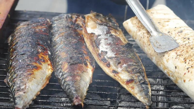 Baking and Roasting Fish on Barbecue Grill. Stock Video - Video of ...