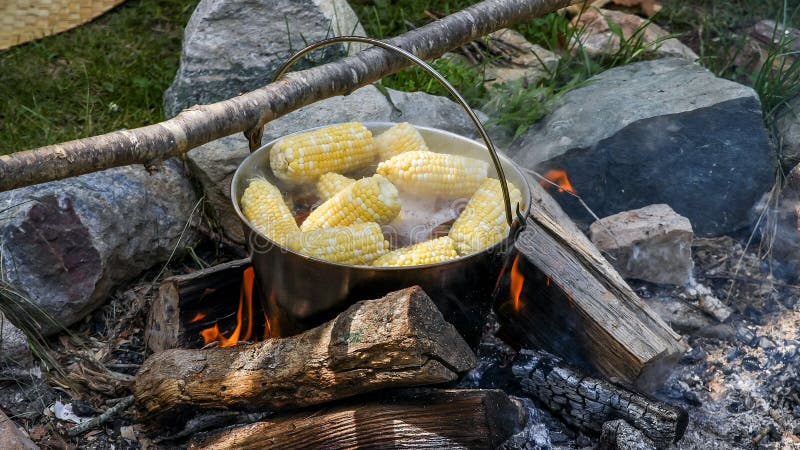 Baking Sweet Corn and Lobster in Campfire in Pot Stock Photo - Image of ...