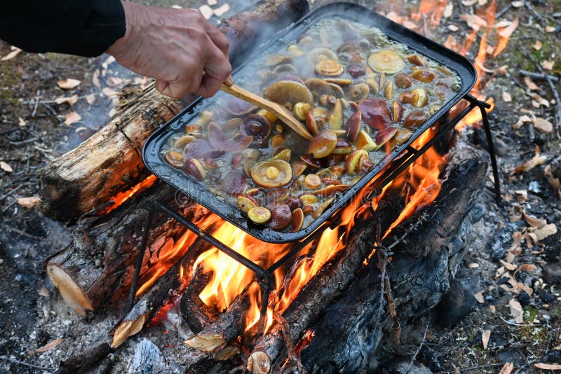 Baking Tray with Mushrooms on the Fire Stock Image - Image of outdoor ...