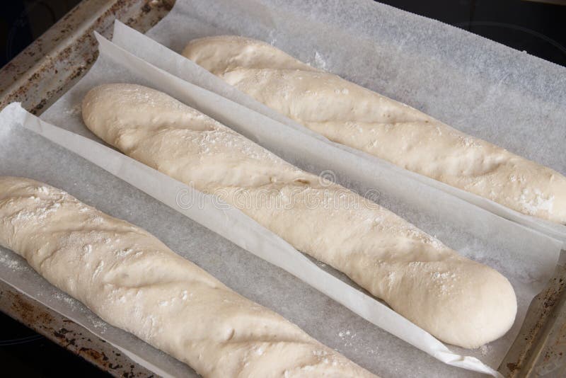 Flat Lay of a Baking Tray with Loaves of Raw Bread that are Rising ...