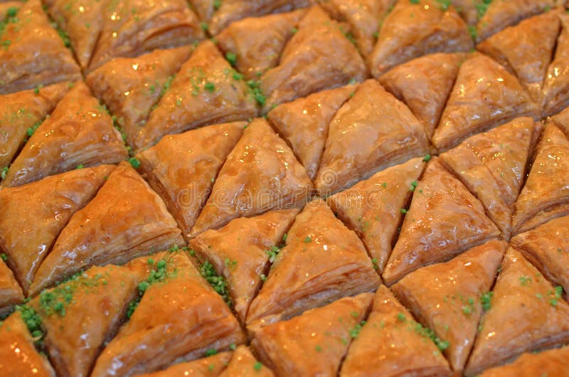 Eastern brown snake stock photo. Image of textilis, fauna - 80066700