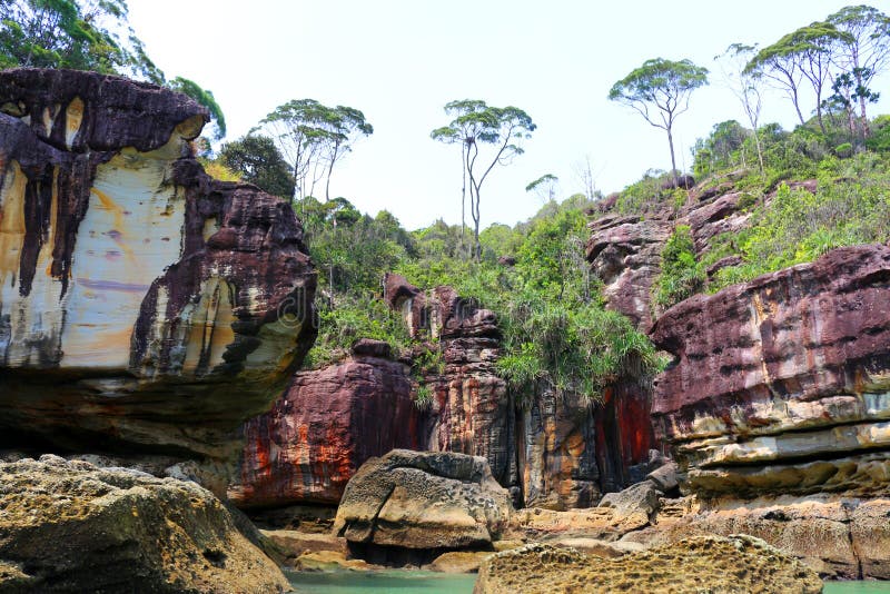 Bako National Park, Malaysia Stock Image - Image of jungle, forest ...