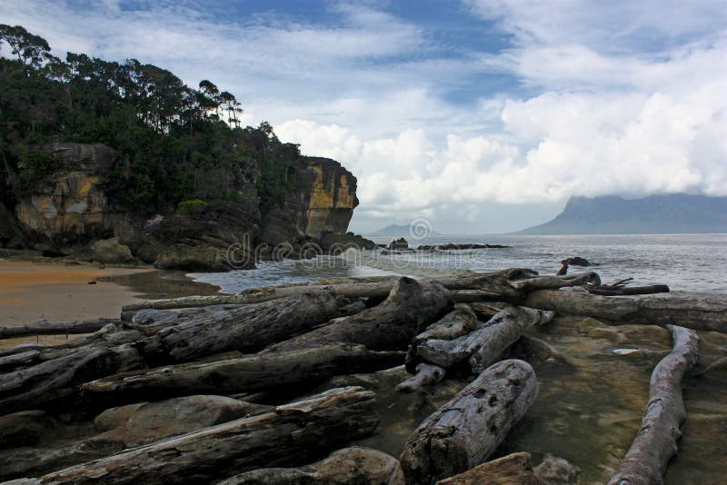 Bako park stock image. Image of shore, malaysia, tourism - 21135055