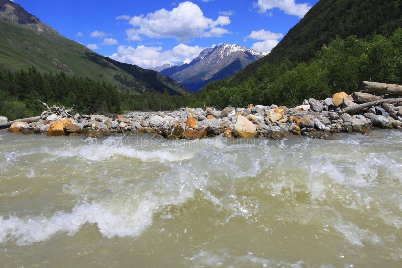 Baksan Valley stock image. Image of ascent, flower, caucasus - 10764779