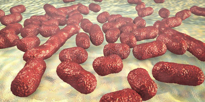 Bakterien-Acinetobacter Baumannii Stock Abbildung - Illustration von ... Bakterien-Acinetobacter Baumannii Stock Abbildung - Illustration von ...