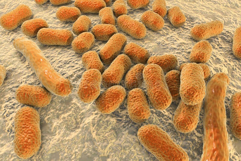 Bakterien-Acinetobacter Baumannii Stock Abbildung - Illustration von ... Bakterien-Acinetobacter Baumannii Stock Abbildung - Illustration von ...