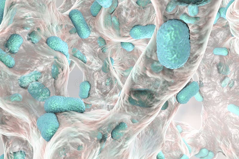 Bakterien-Acinetobacter Baumannii Innerhalb Des Biofilm Stock Abbildung ... Bakterien-Acinetobacter Baumannii Innerhalb Des Biofilm Stock Abbildung ...