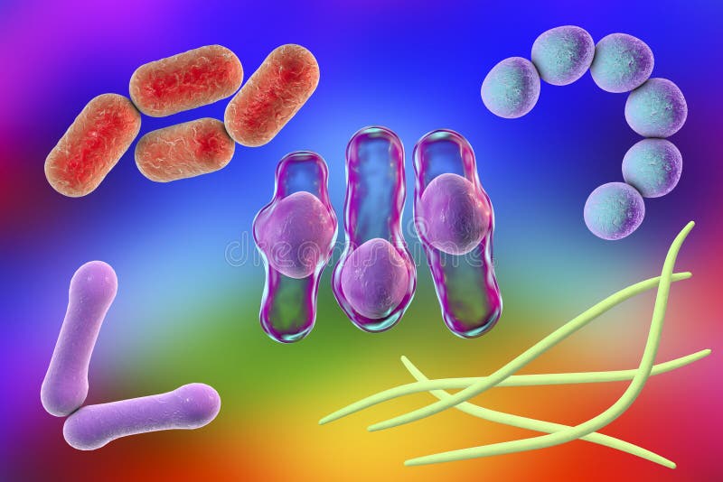 Bakterier av olika former stock illustrationer. Illustration av ...
