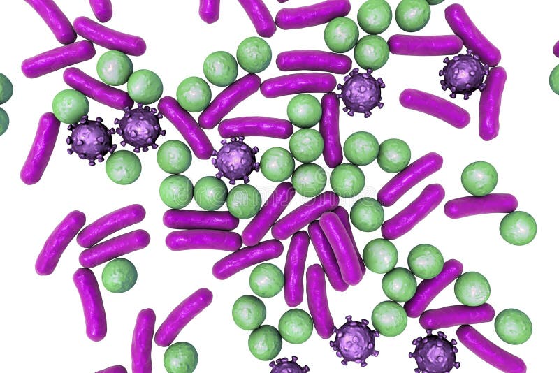 Bakterier av olika former arkivfoto. Bild av mikroskopiskt - 79802144