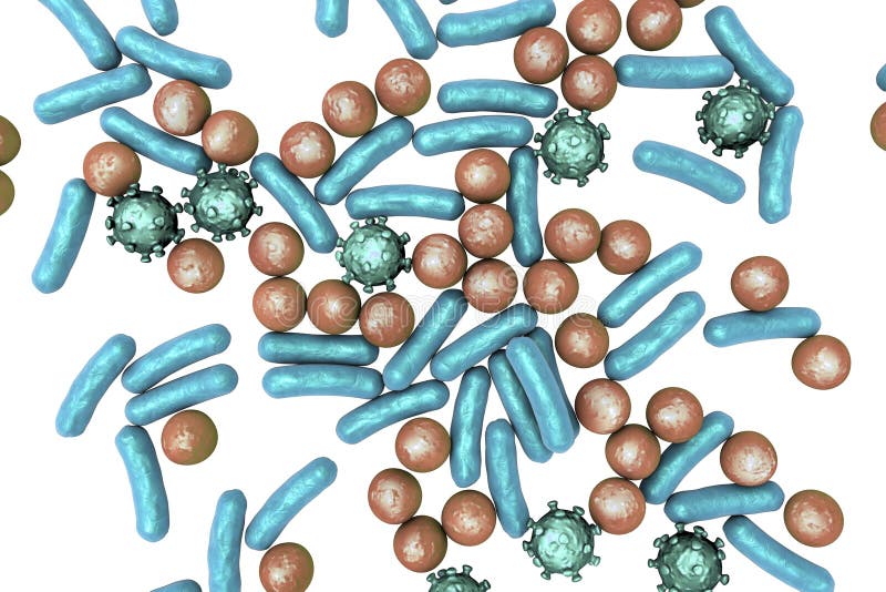 Bakterier av olika former stock illustrationer. Illustration av sjuka ...