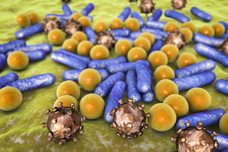 Bakterier av olika former arkivfoto. Bild av sjukdom - 85961788