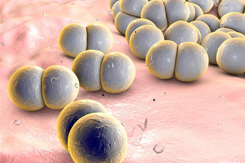 Escherichia Coli bakteria ilustracji. Ilustracja złożonej z bakteria ...