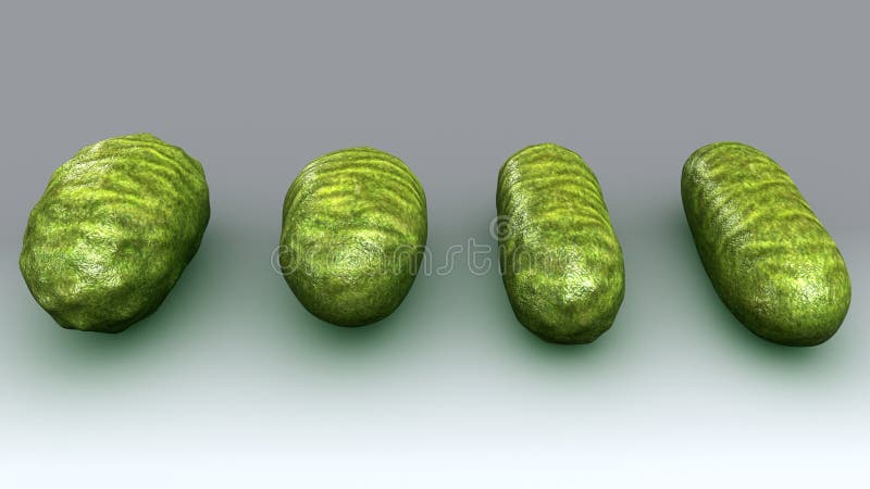 2,286 Bazillus Bakterium Fotos - Kostenlose und Royalty-Free Stock ...