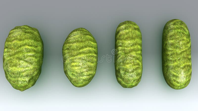 2,286 Bazillus Bakterium Fotos - Kostenlose und Royalty-Free Stock ...