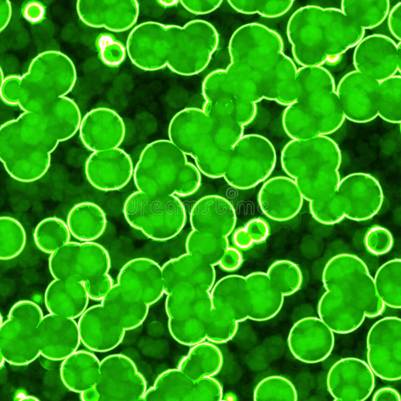 Organische Zellen Unter Mikroskop Stock Abbildung - Illustration von ...