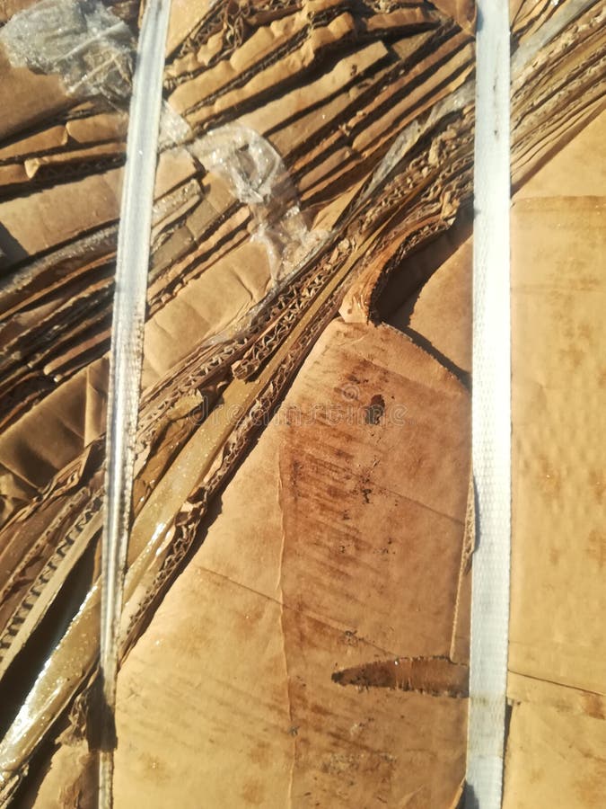 Bala Comprimida De Bonote De Tierra De Las Fibras De La Cáscara Del ...