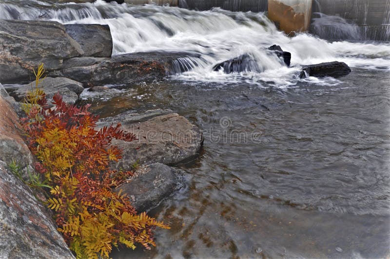 Bala Falls in Ontario, Canada Stock Image - Image of forest, motion ...