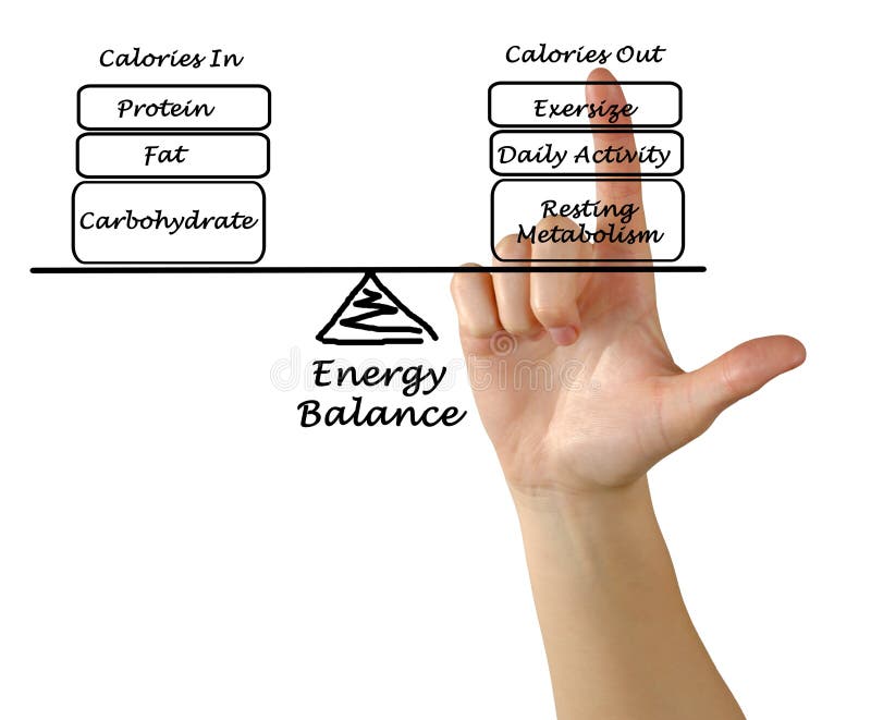 Balance between Energy Intake and Expenditure Stock Photo - Image of ...