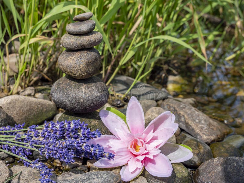 Zen stones with lavender stock photo. Image of lavender - 8933096