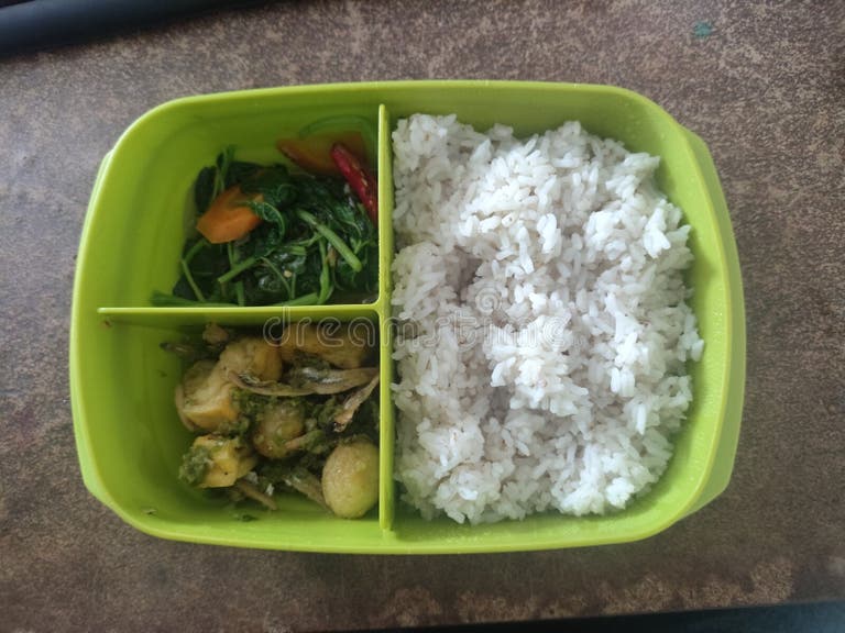 Balanced Menu in One Box: a Mix of Rice, Vegetables, and Protein Side ...