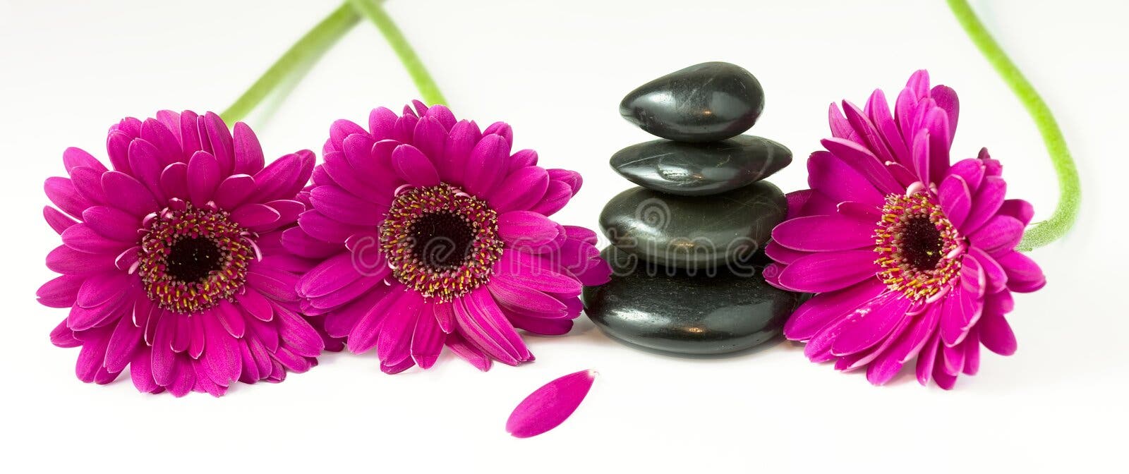 Japanese ZEN Garden with Stone of Energy Stock Image - Image of harmony ...