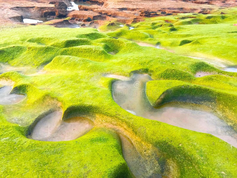 Balangan beach Uluwatu stock image. Image of grass, landscape - 263738639