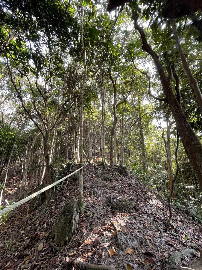 Balau Peak stock photo. Image of sport, village, tree - 307361990