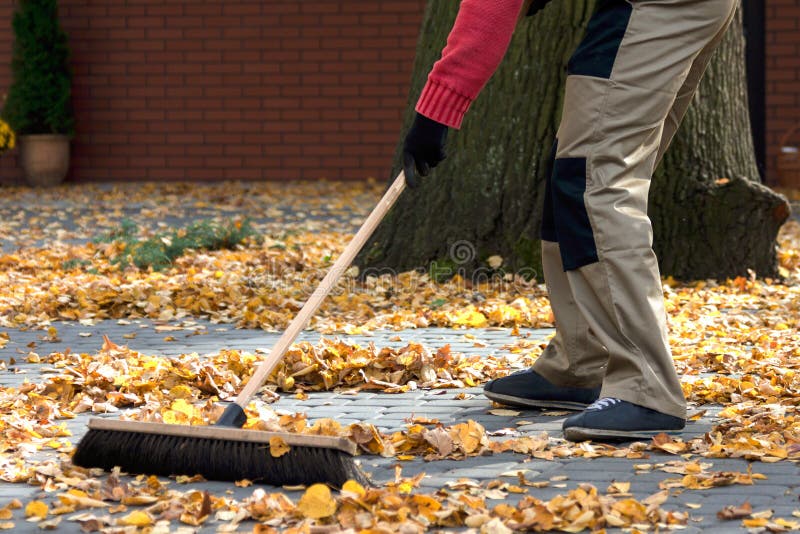 Balayer les feuilles photo stock. Image du personne, travail - 44931048
