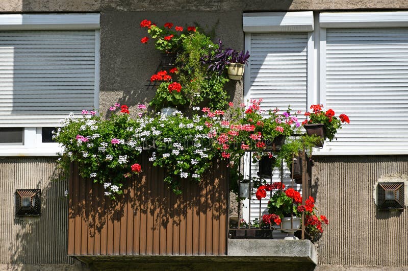Building & flowers stock image. Image of business, flowers - 7737