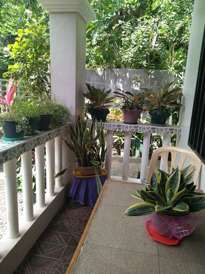 Balcony stock photo. Image of greenery, terrace, plants - 157159640