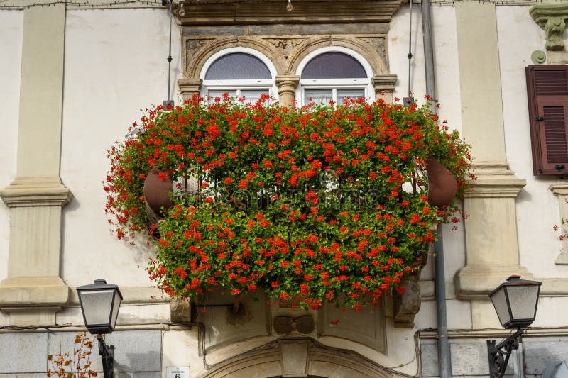 Balcony with Red Geranium Flowers Stock Photo - Image of facade, blue ...