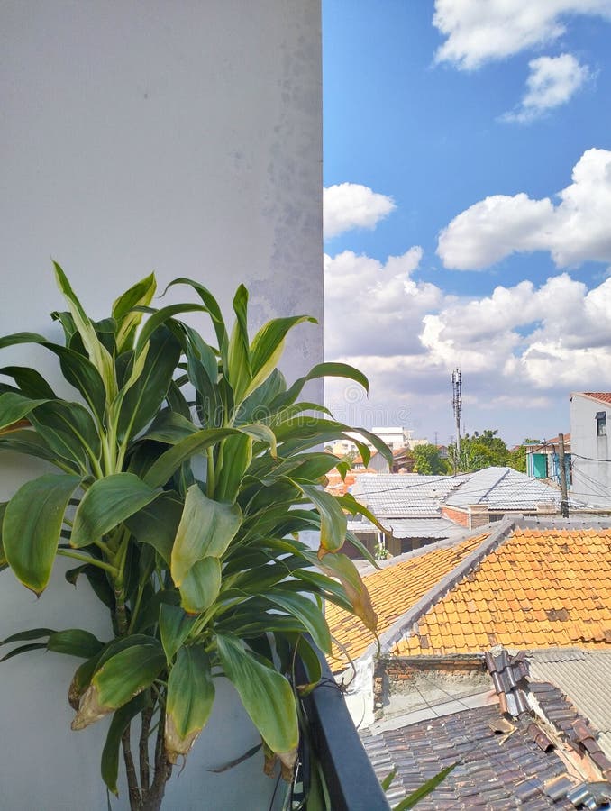 Balcony Situation in Densely Populated Neighborhoods Stock Image ...