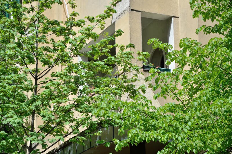 Balcony Surrounded with Trees Stock Photo - Image of wall, exterior ...