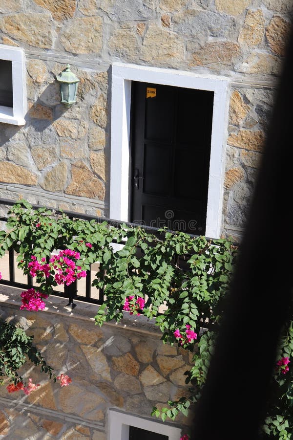 Balcony with Vibrant Pink Bougainvillea Against a Rustic Stone Wall ...