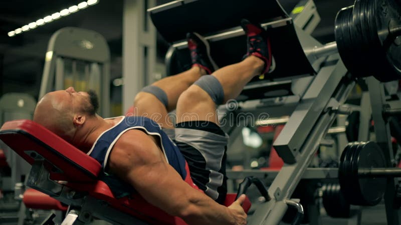 Bald Athletic Man Beard is Engaged in Leg Exercises Using Weight ...