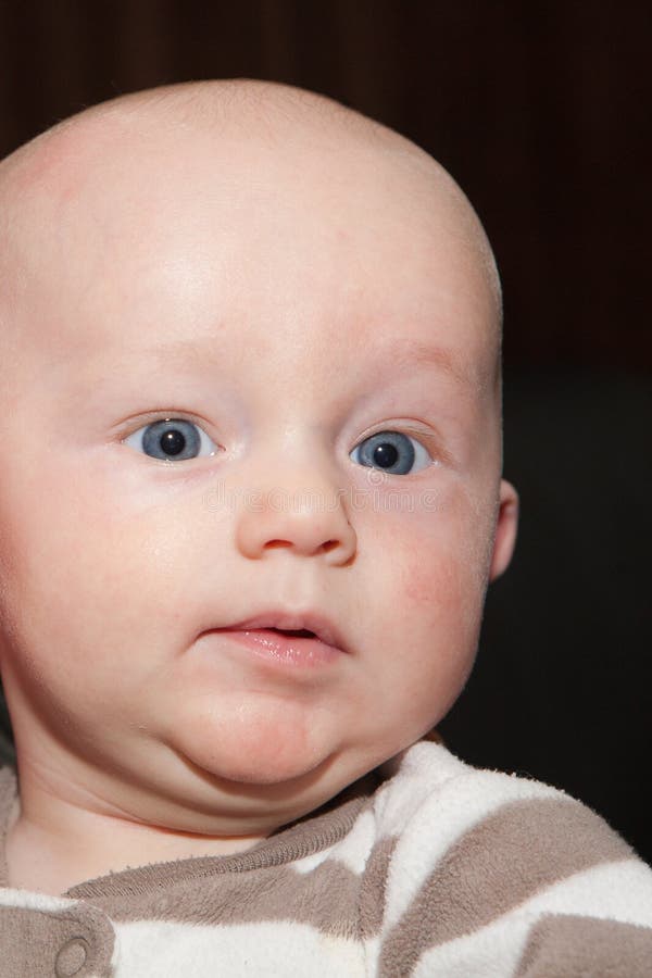 Bald Baby Boy stock image. Image of face, innocent, infant - 36427705