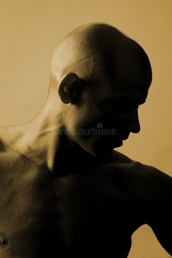 Handsome bald man stock image. Image of buff, bald, diesel - 1056361