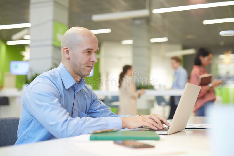 Bald Businessman Using Computer Stock Image - Image of colleague ...