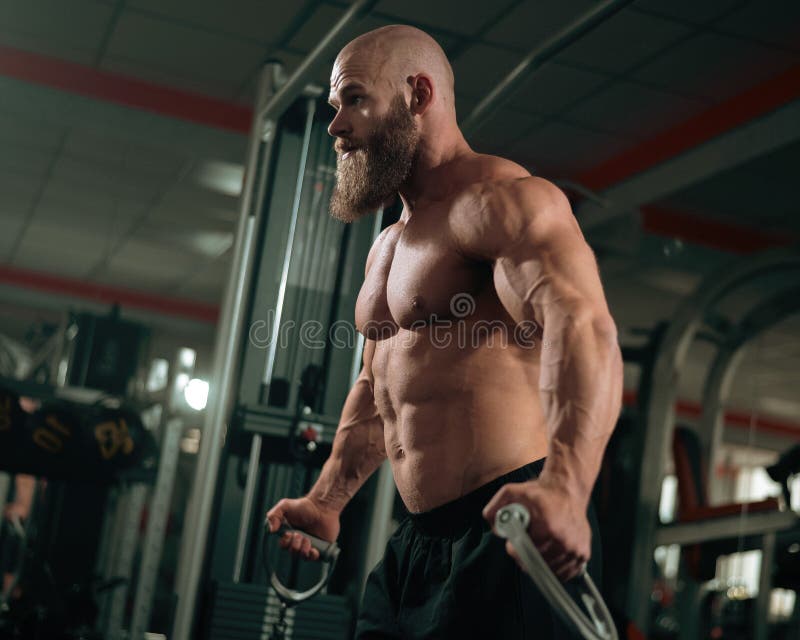 Bald Caucasian Bodybuilder Doing Heavy Triceps Exercises with Cable ...