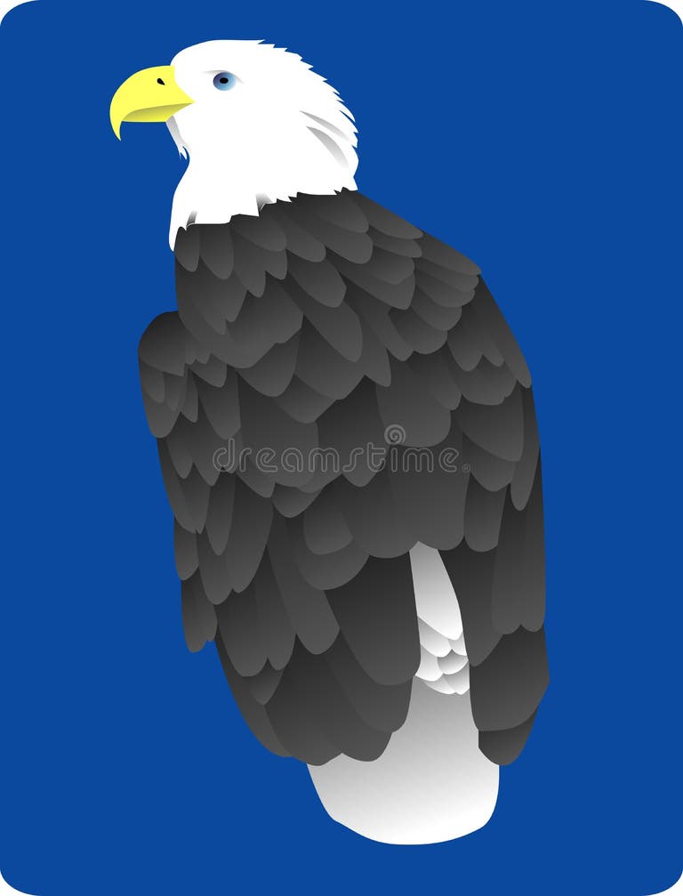 Eagle Standing Stock Illustrations – 4,145 Eagle Standing Stock ...