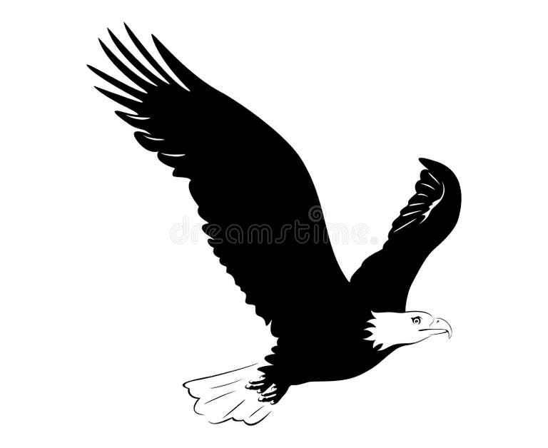 Bald Eagle Outline Stock Illustrations – 1,946 Bald Eagle Outline Stock ...