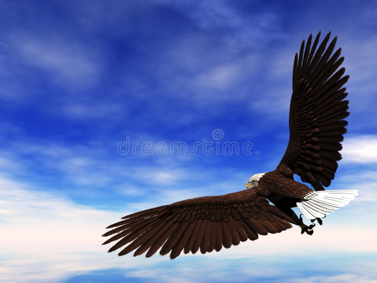 Bald Eagle Flying High Stock Illustrations – 1,238 Bald Eagle Flying ...