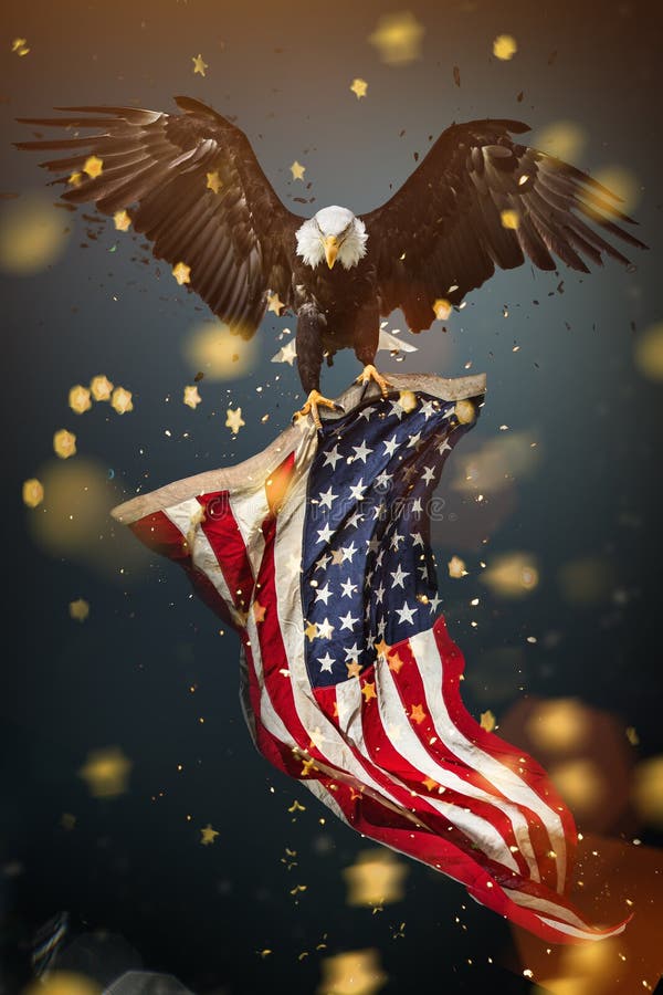 American Bald Eagle Flying with Flag. Stock Illustration - Illustration ...