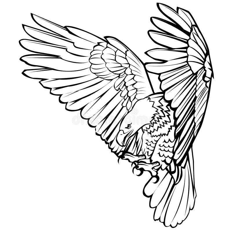 Eagle Attacking Drawing
