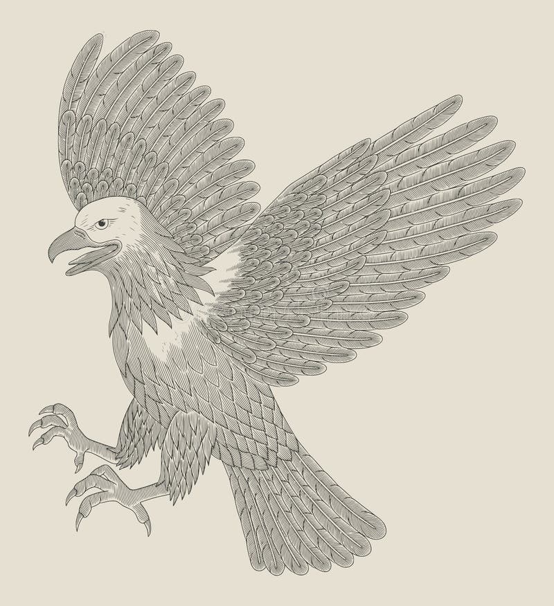 Bald Eagle Attacking on the Sky, Vintage Engraving Drawing Vector ...