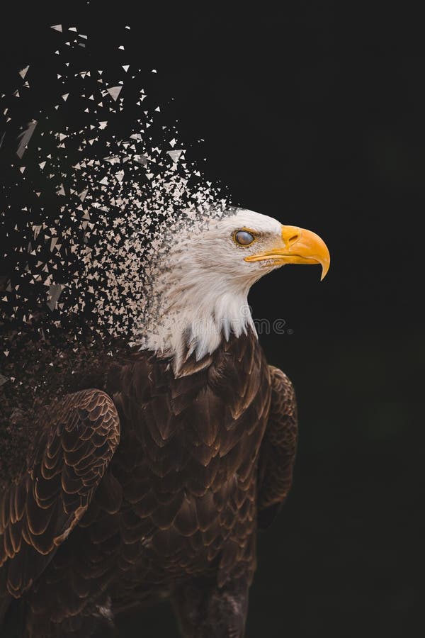 186 Symbol Disintegrating Stock Photos - Free & Royalty-Free Stock ...